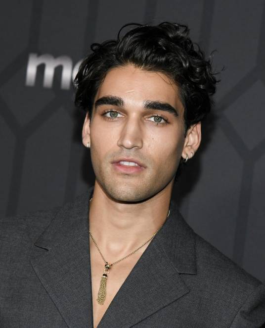 约什·赫斯顿_百度百科