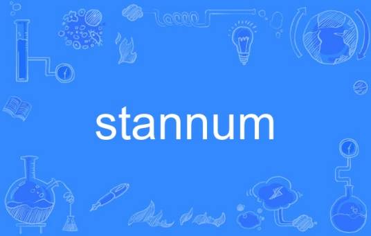 stannum（英语单词）_百度百科
