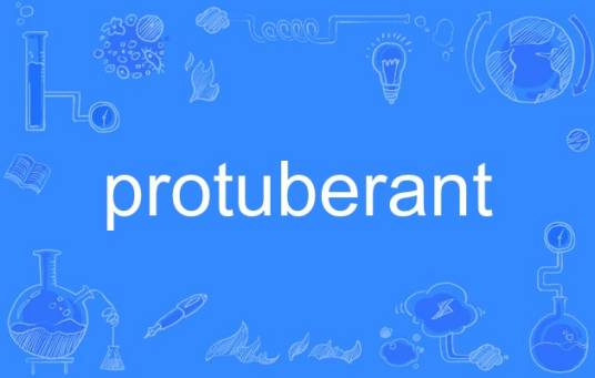 protuberant_百度百科