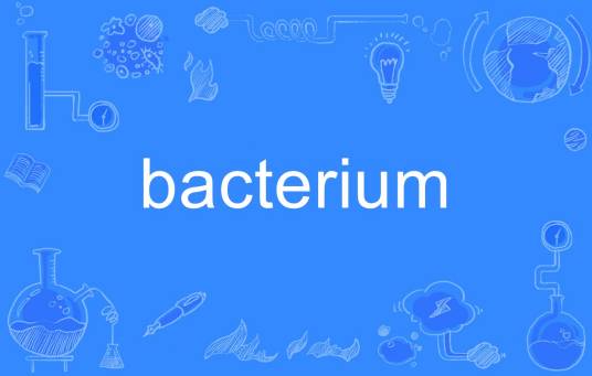 bacterium_百度百科