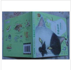 乐活猫城：猫国物语_百度百科