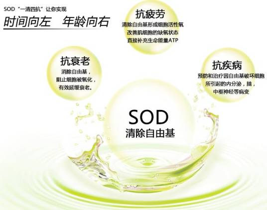 超氧化物歧化酶(SOD)_百度百科