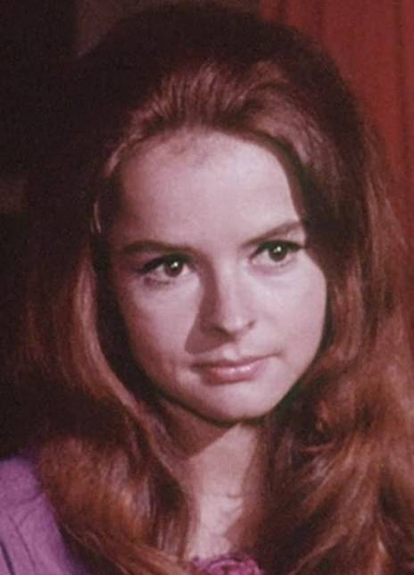 Sue Bernard_百度百科