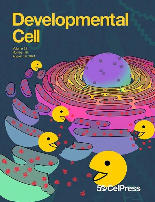 DEVELOPMENTAL CELL_百度百科