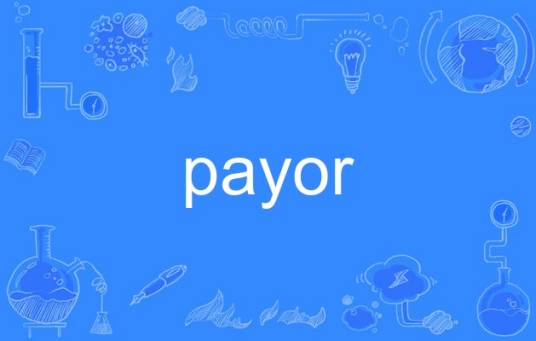 payor_百度百科