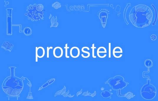 protostele（英语单词）_百度百科