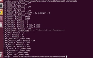 setsockopt_百度百科