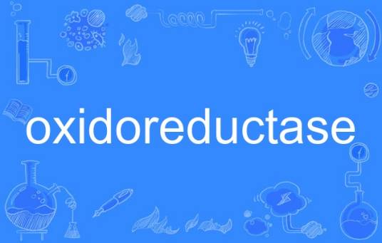 oxidoreductase_百度百科