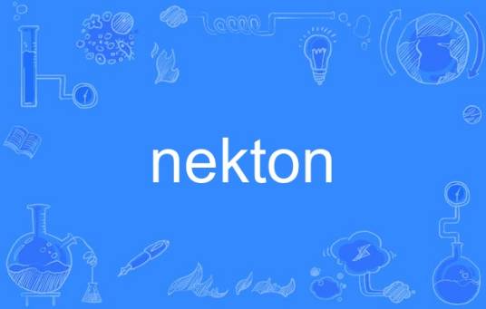 nekton_百度百科