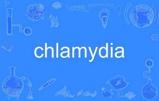 chlamydia_百度百科