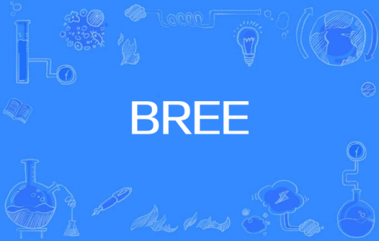 BREE（英文词汇）_百度百科
