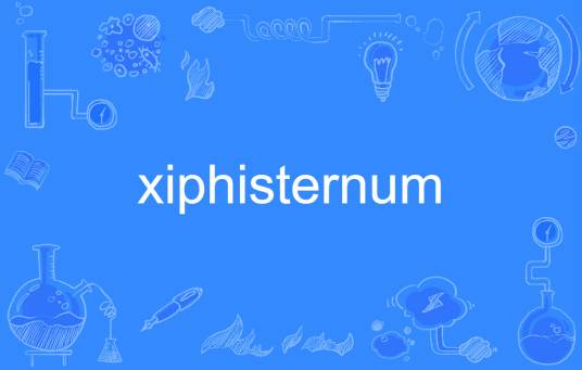xiphisternum_百度百科