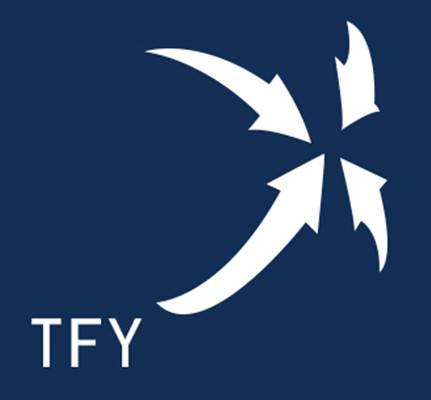 TFY_百度百科