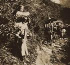 1899年_百度百科