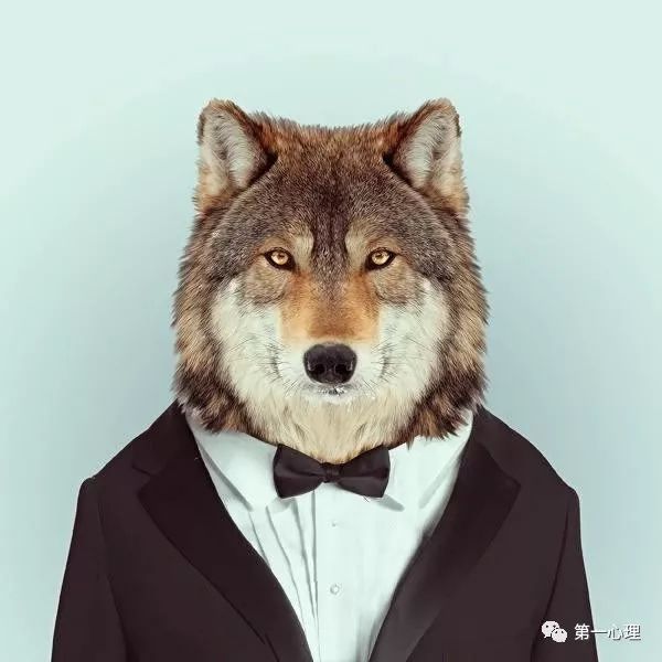 存在主义心理学：人为什么要活着？这是我听过最好的答案_百科TA说