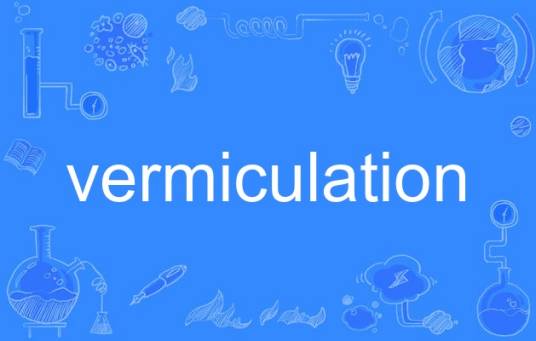 vermiculation_百度百科