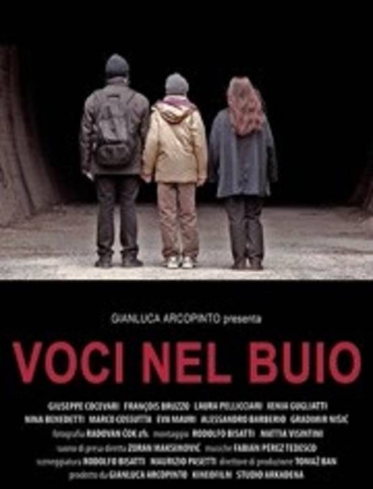 黑暗中的声音（Vincent G. Cox执导的电影）_百度百科