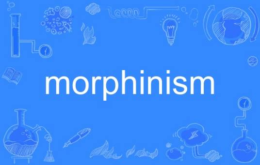 morphinism_百度百科