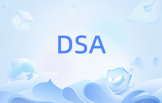 DSA（针对特定领域定制的可编程处理器架构）_百度百科