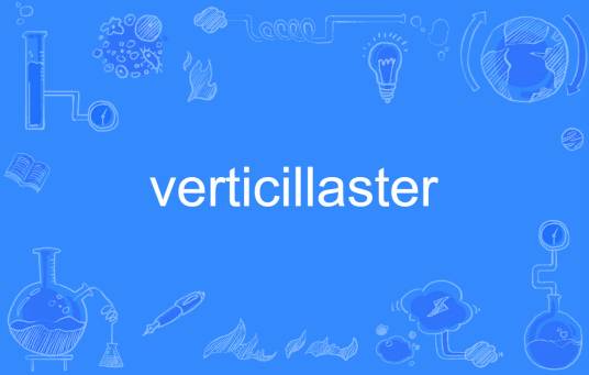 verticillaster_百度百科