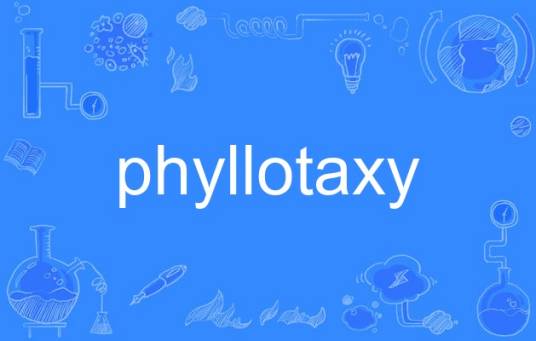 phyllotaxy（英语单词）_百度百科