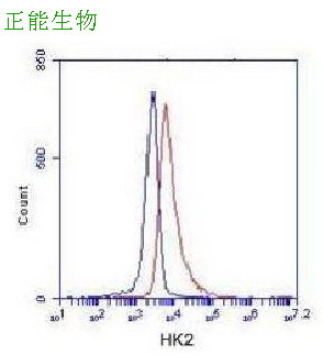 HK2_百度百科