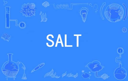 SALT（英语单词）_百度百科