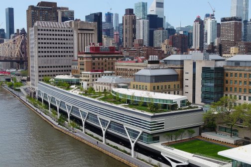 洛克菲勒大学_百度百科