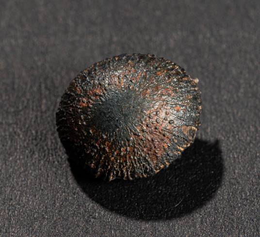 NWA 859_百度百科