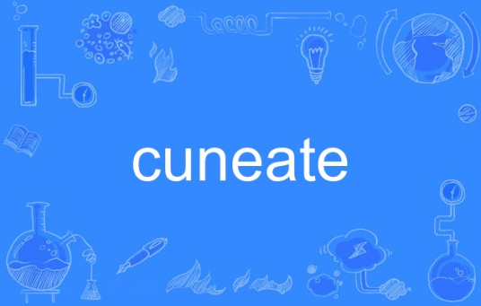 cuneate_百度百科