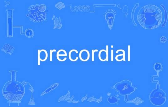 precordial_百度百科