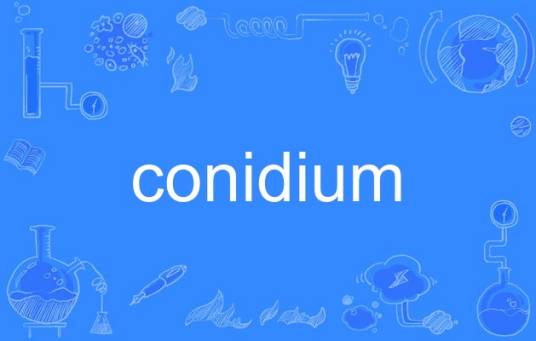 conidium_百度百科