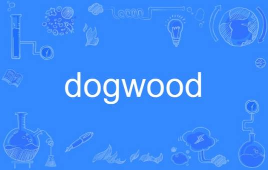 dogwood_百度百科