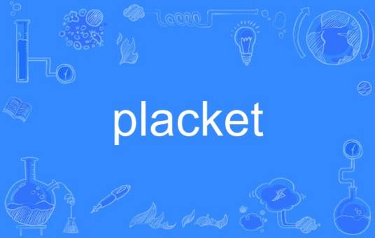 placket_百度百科