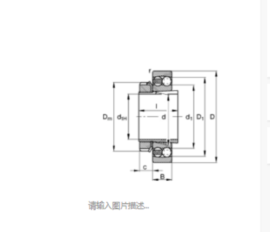 FAG 2209-K-TVH-C3+H309轴承_百度百科