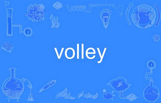 volley_百度百科
