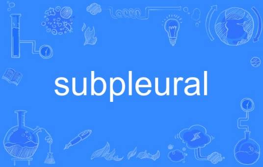 subpleural_百度百科