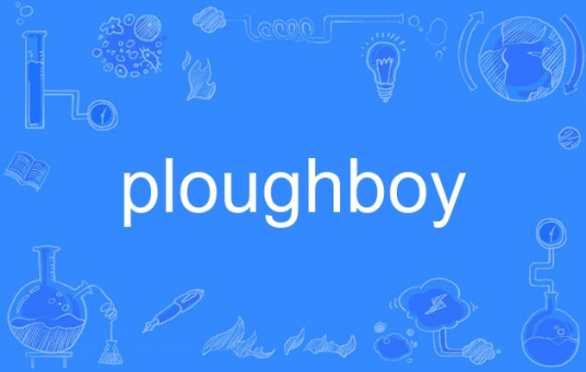 ploughboy_百度百科