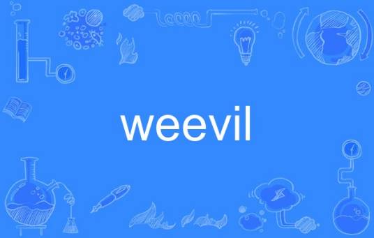 weevil_百度百科