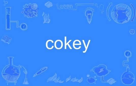 cokey_百度百科