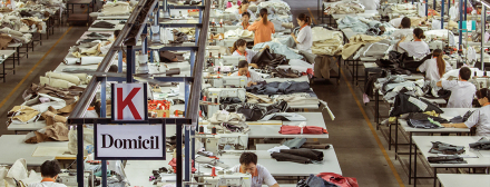 DOMICIL_百度百科