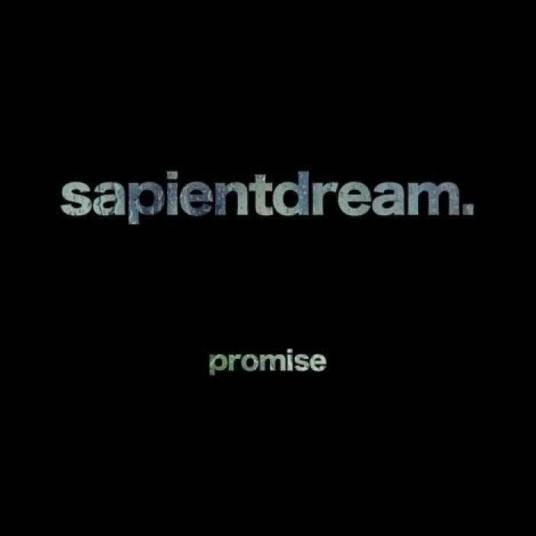 Promise（Sapientdream署名歌曲）_百度百科