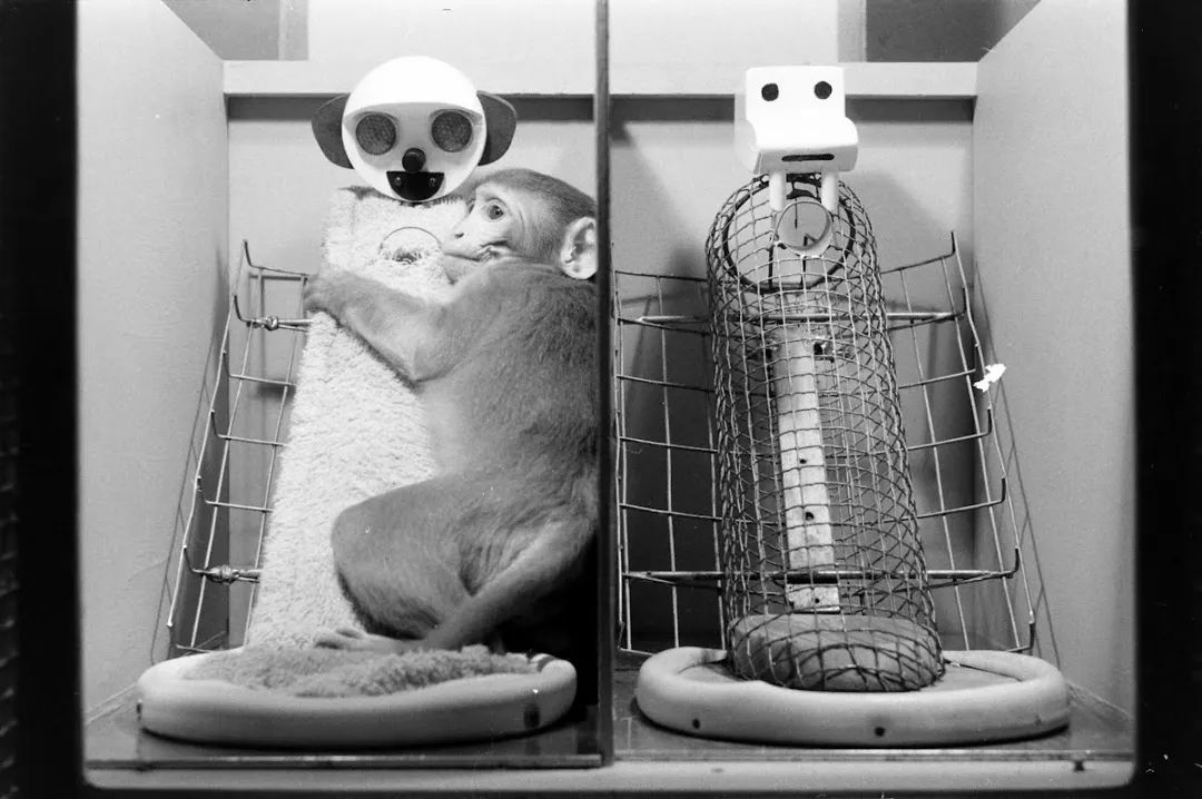 依恋类型不能决定命运_百科TA说