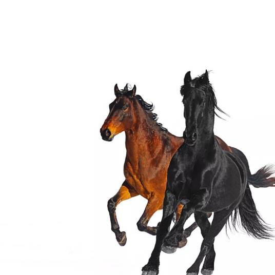 Old Town Road_百度百科