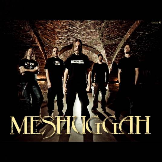 Meshuggah_百度百科