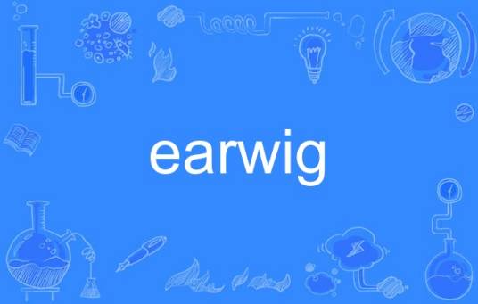 earwig_百度百科
