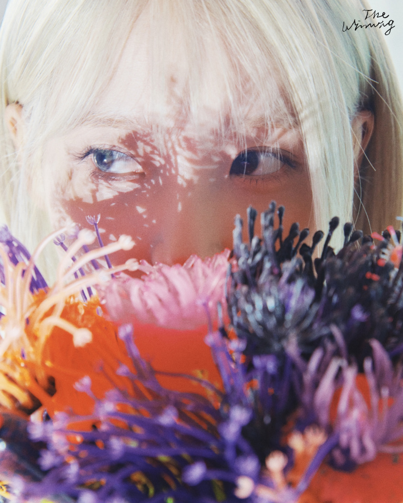 The Winning_百度百科