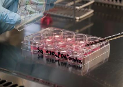 如何评估细胞的健康状况？_百科TA说