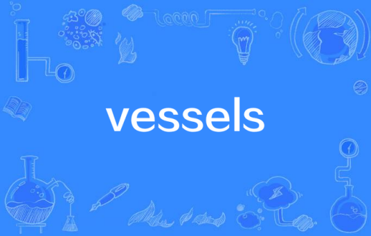 vessels_百度百科