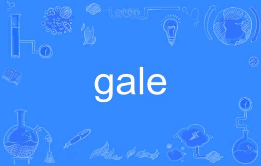 gale（英文单词）_百度百科
